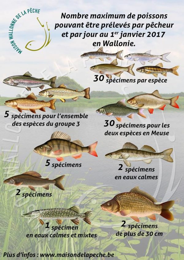 Pêcher - Fédération Halieutique et Piscicole du Sous Bassin Semois-Chiers